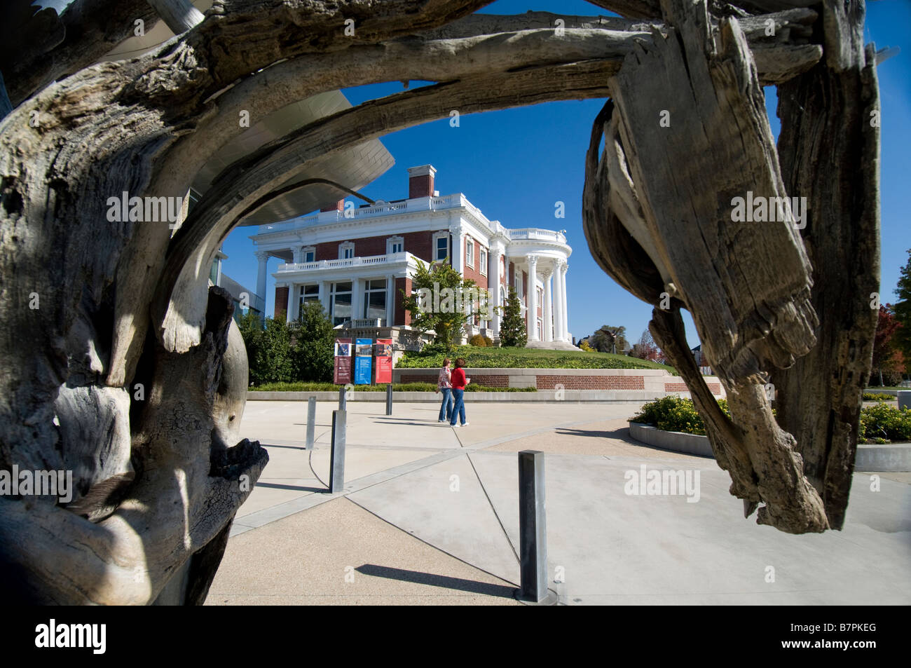 Sculpture "Looks Like Wood" at the Hunter Museum of American Art ...