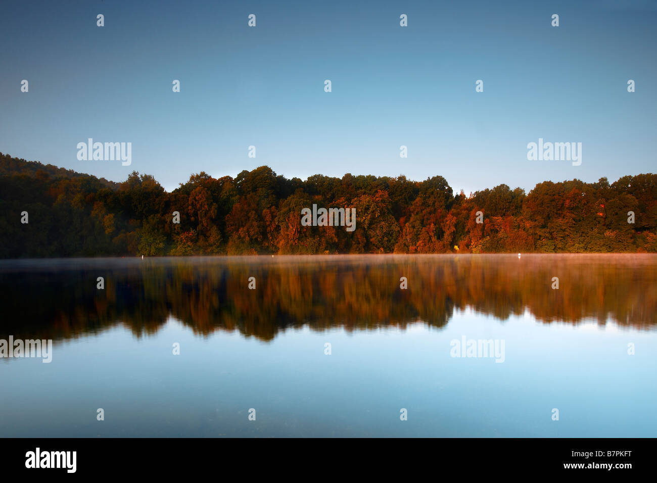 Mirror reflections trees hi-res stock photography and images - Alamy