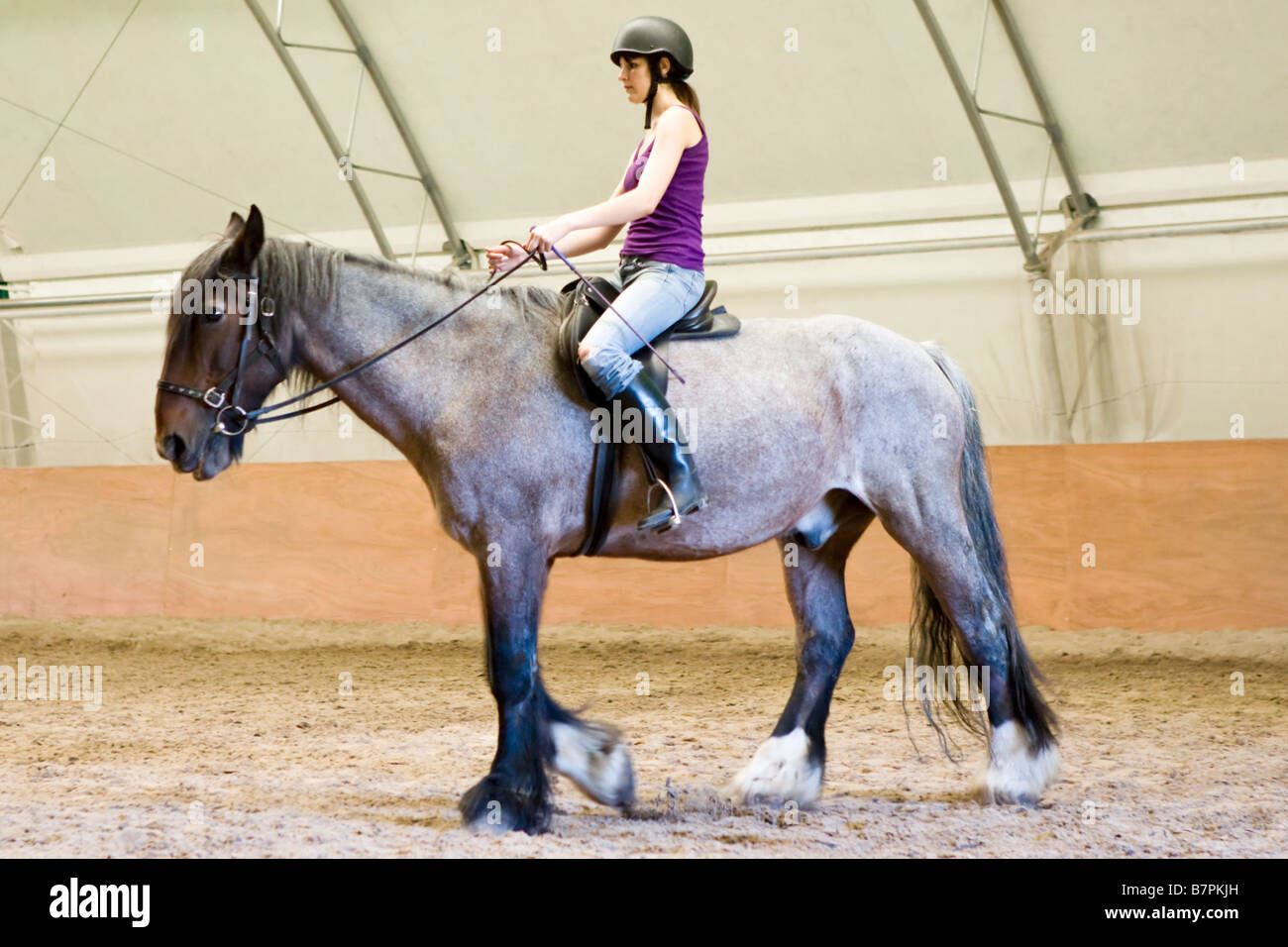 A young woman riding a horse in an indoor enclosure Stock Photo - Alamy