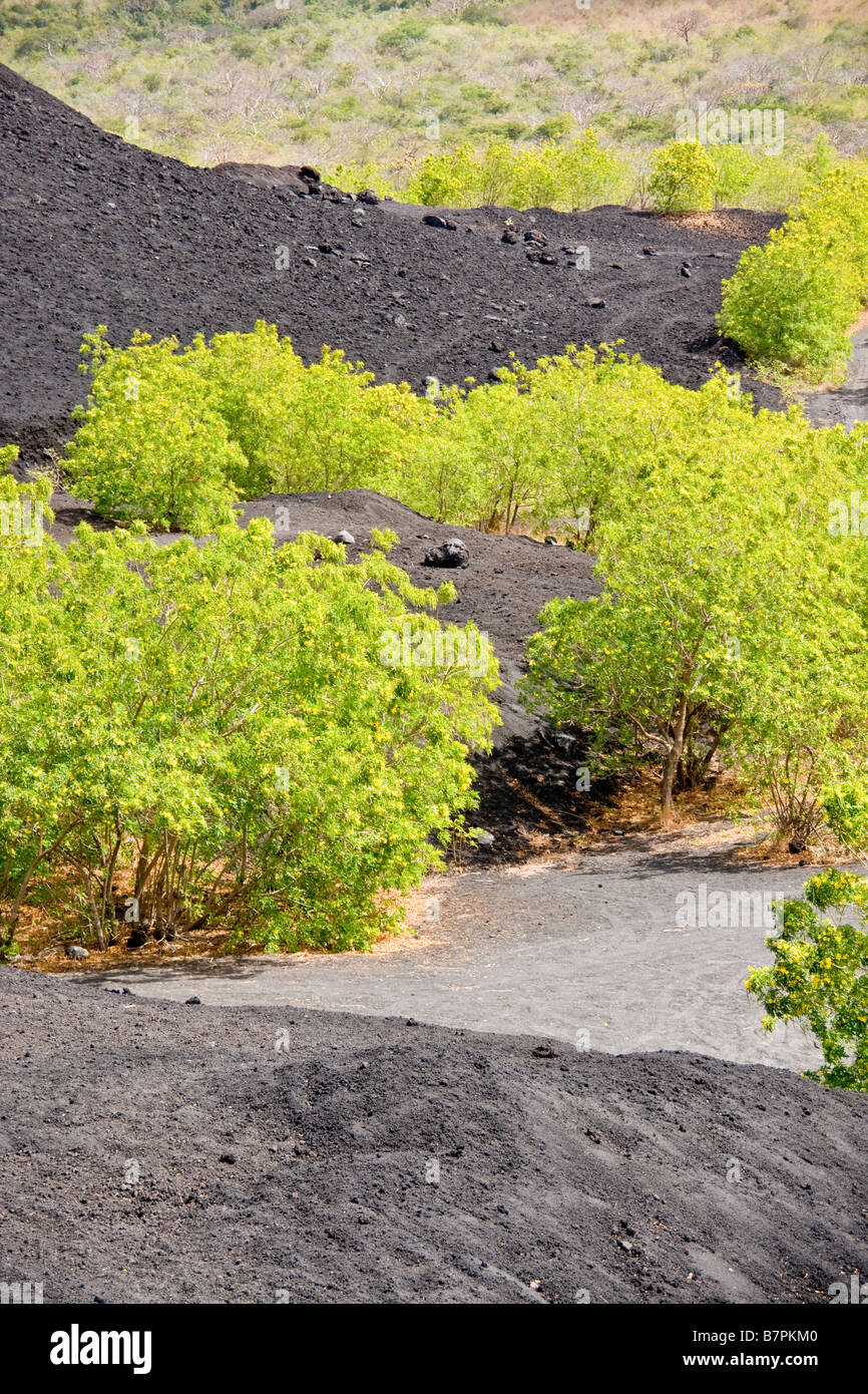 Volcanic Debris Flow High Resolution Stock Photography and Images - Alamy