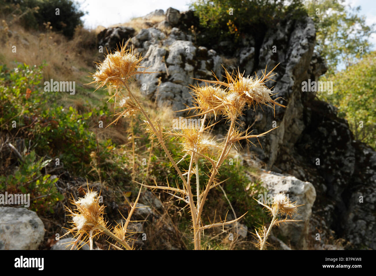 Ruins stronghold fortress in mountains. Kemer, Turkey Stock Photo - Alamy