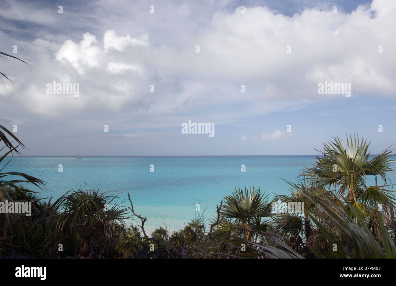 crystal waters in the Bahamanian Land Sea Park Stock Photo - Alamy