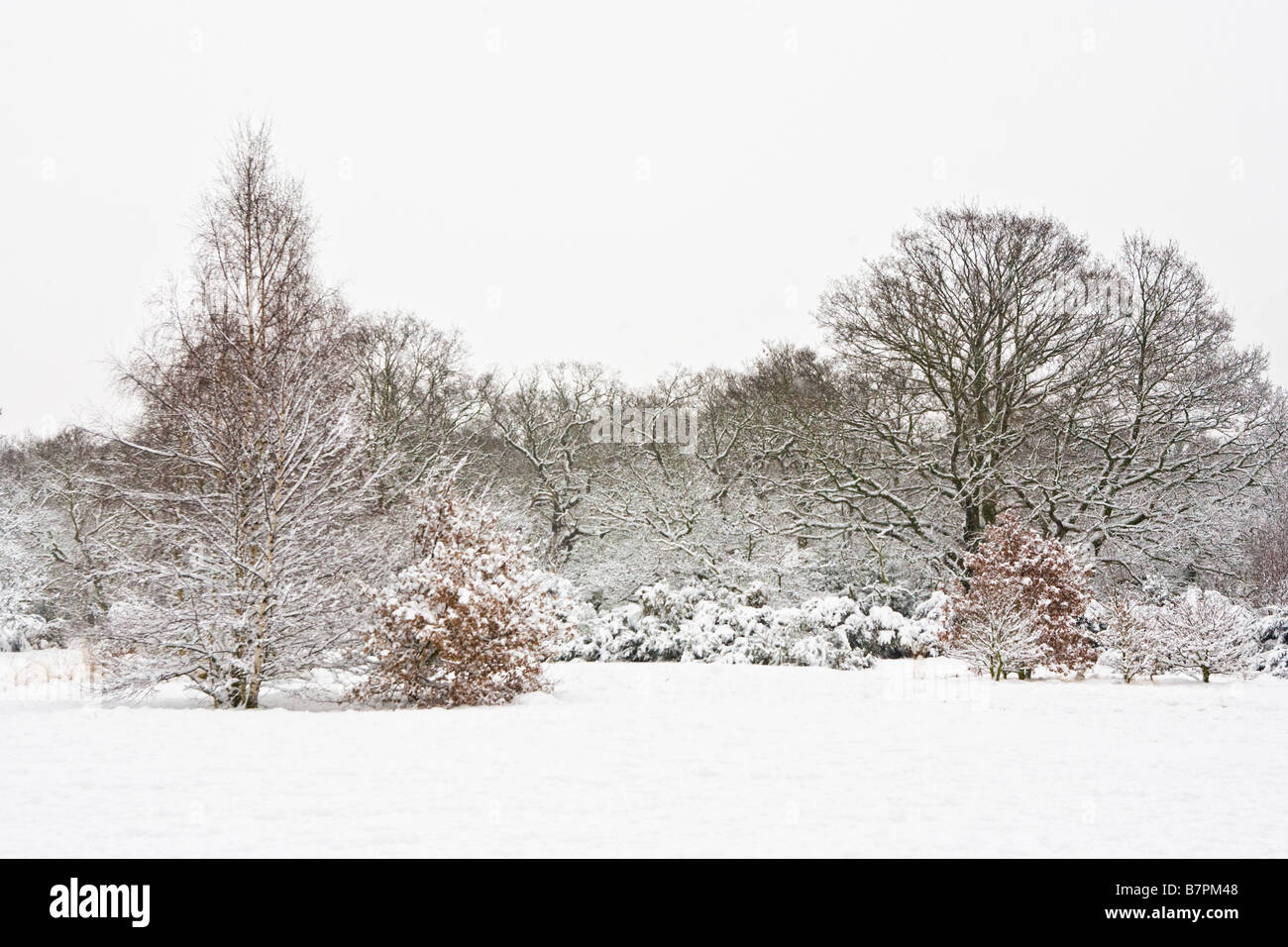 2009 in picture hi-res stock photography and images - Alamy