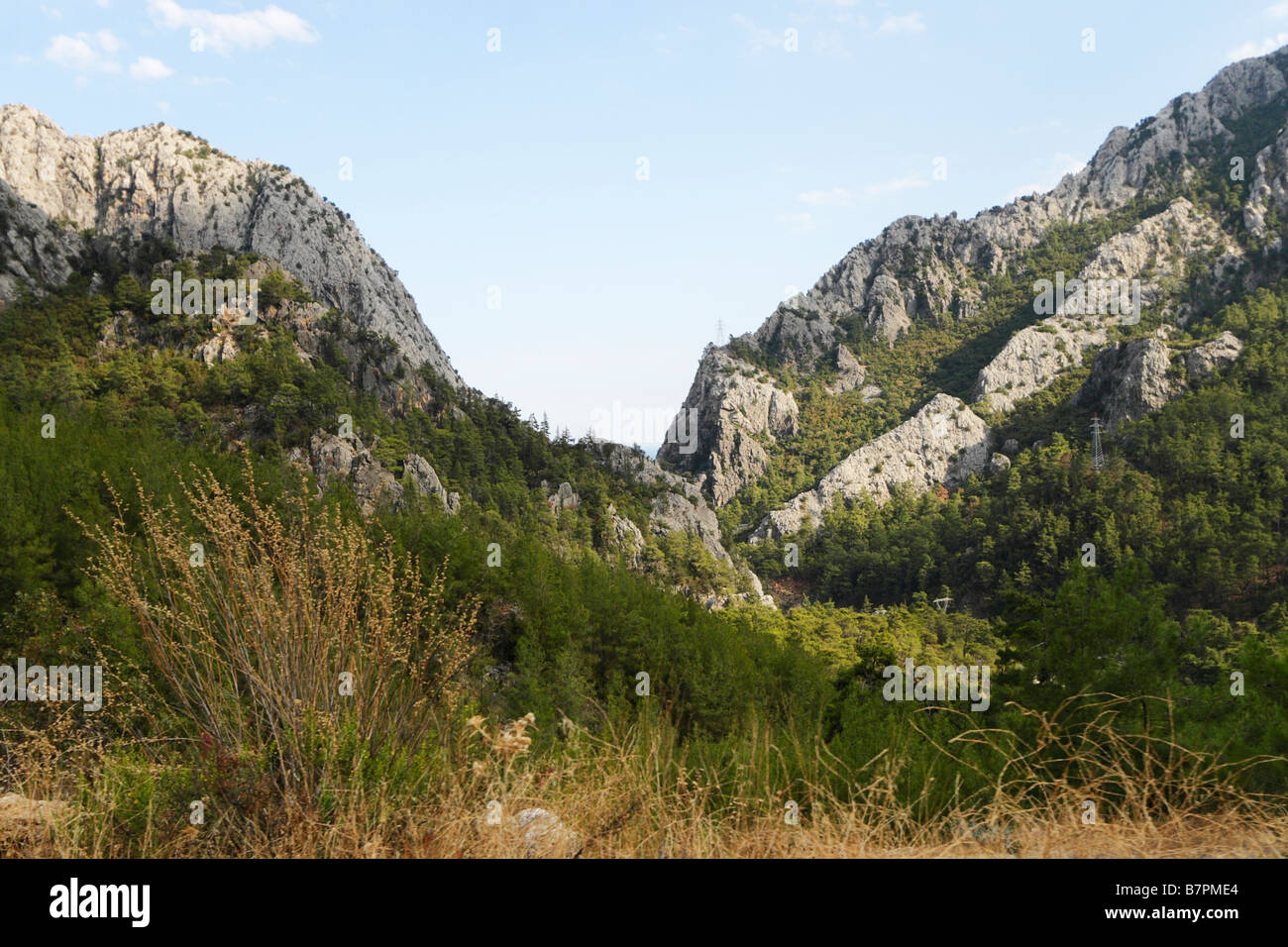 Fall turkey kemer hi-res stock photography and images - Alamy