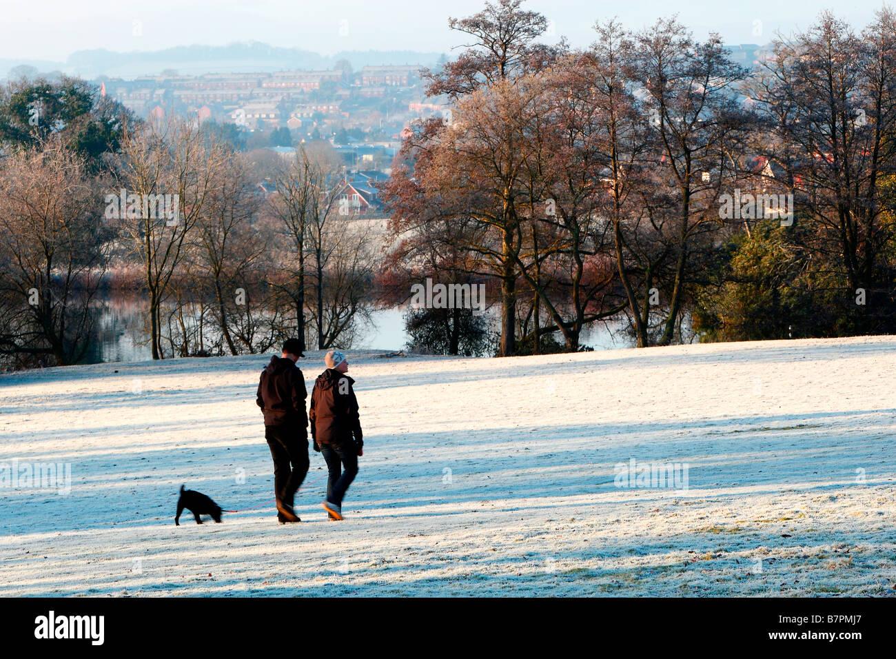 Shobrooke Park near Crediton Devon Stock Photo - Alamy