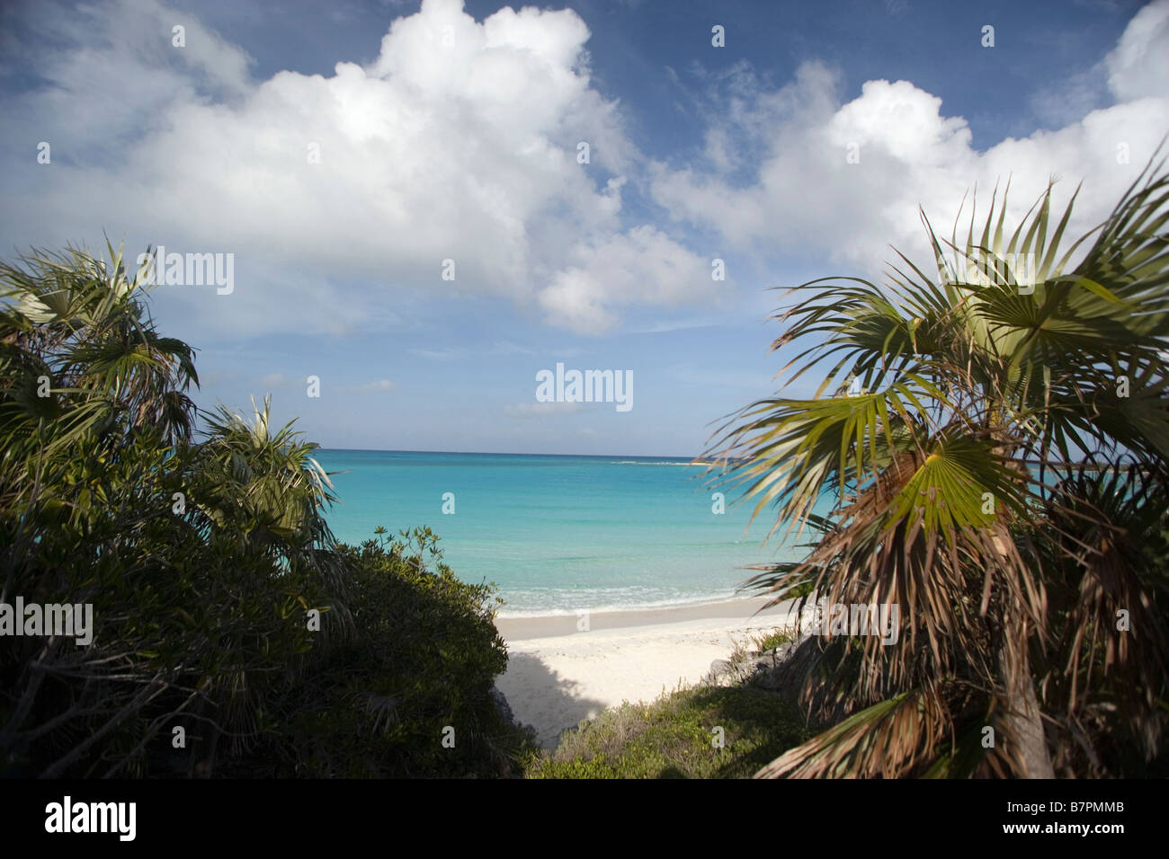 crystal waters in the Bahamanian Land Sea Park Stock Photo - Alamy