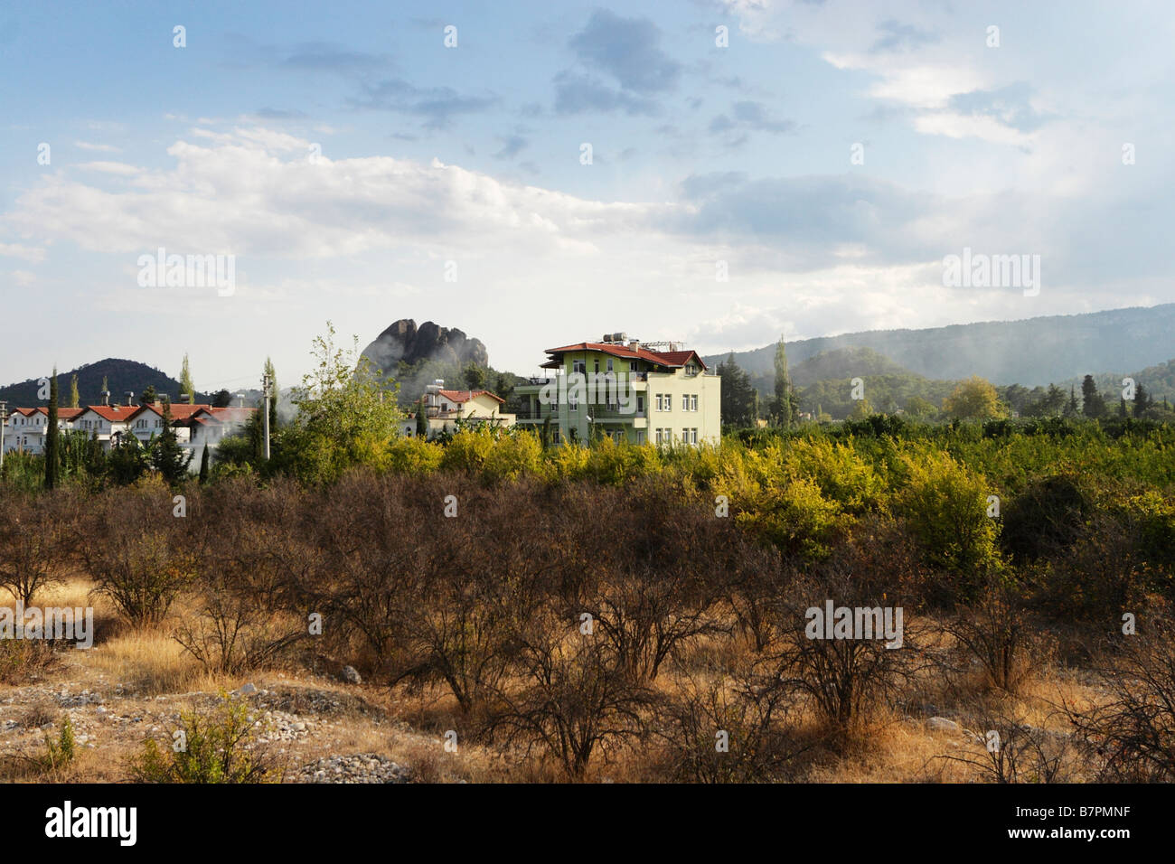 Fall turkey kemer hi-res stock photography and images - Alamy