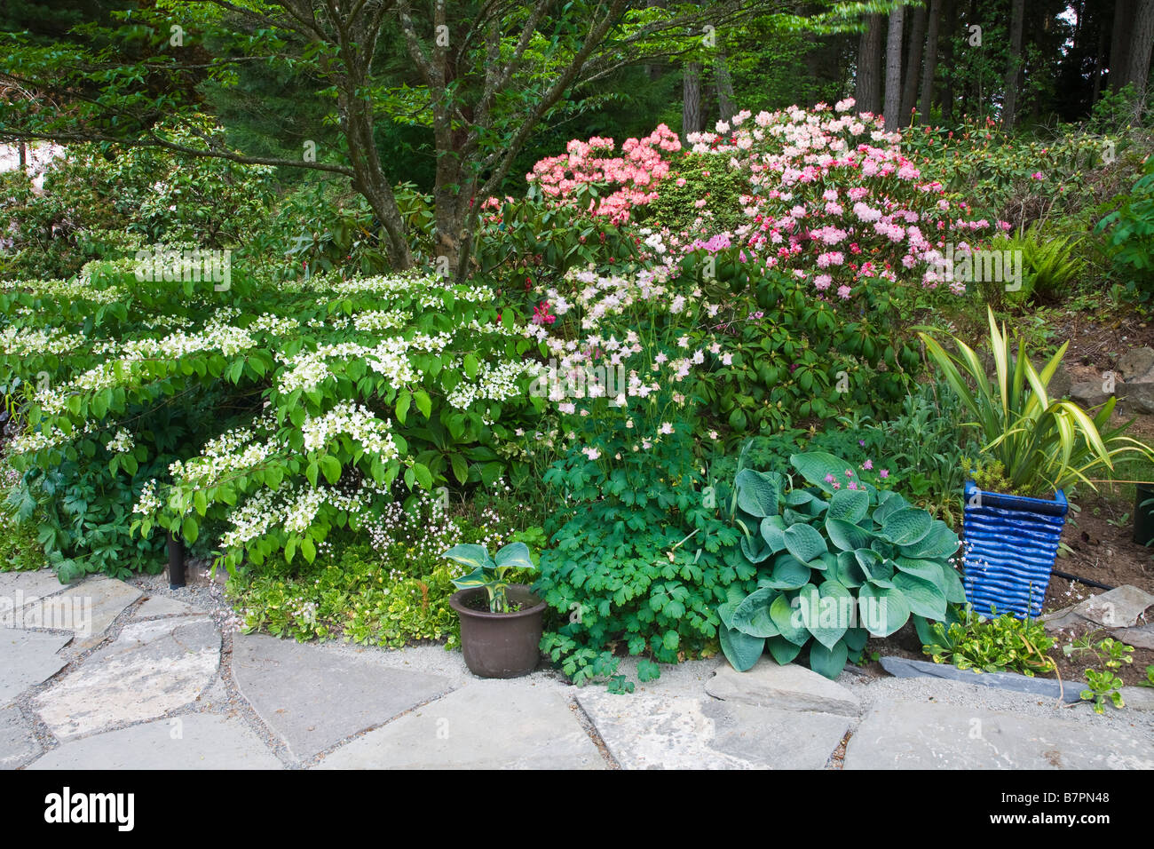 Vashon Island WA: Stone path borders a Pacific Northwest forest garden ...