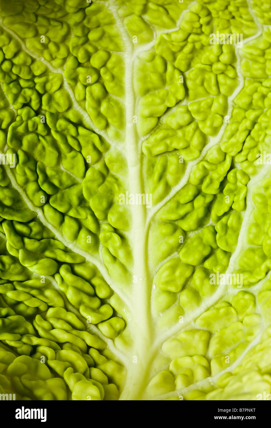 Close updetail hi-res stock photography and images - Alamy