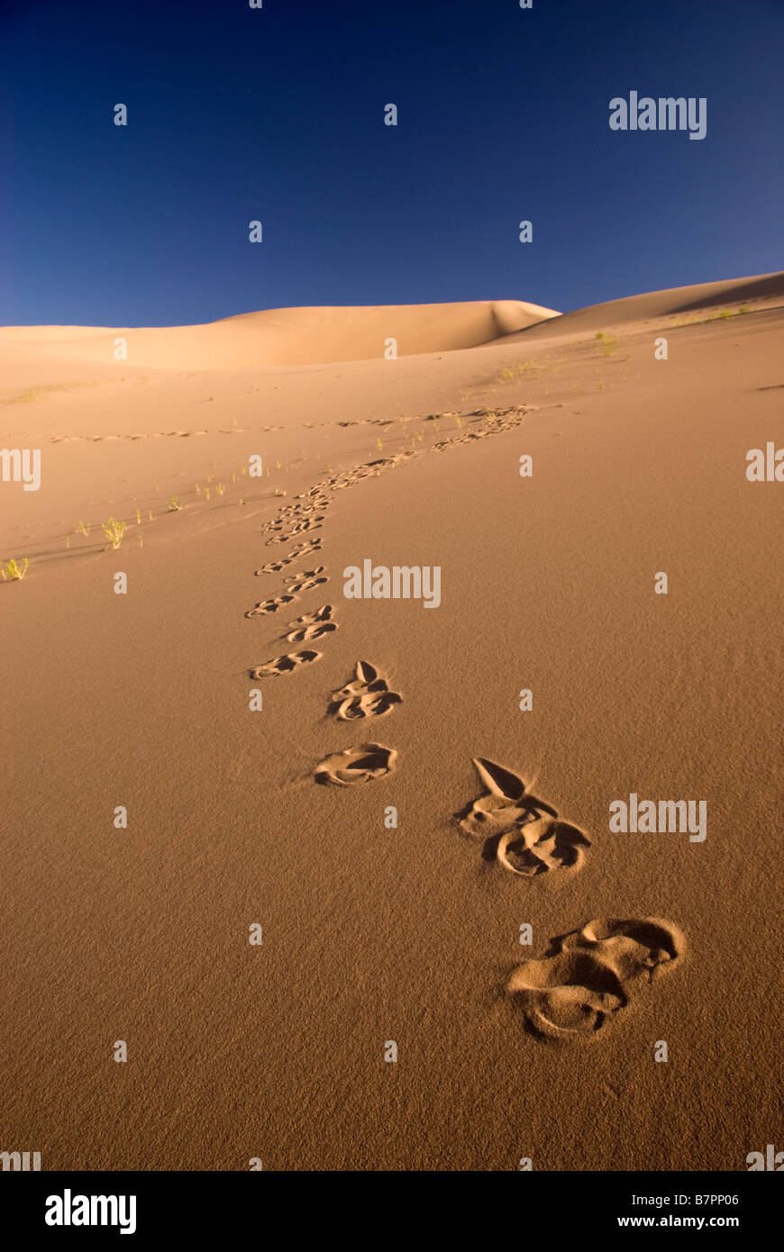 Wind erosion desert hi-res stock photography and images - Alamy