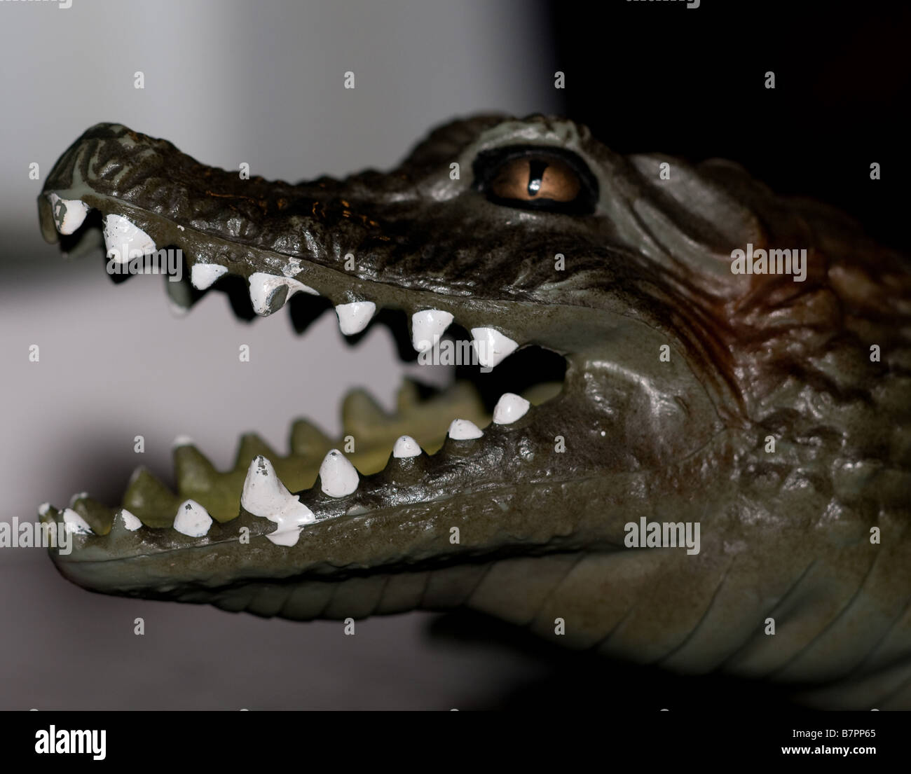 Plastic alligator hi-res stock photography and images - Alamy
