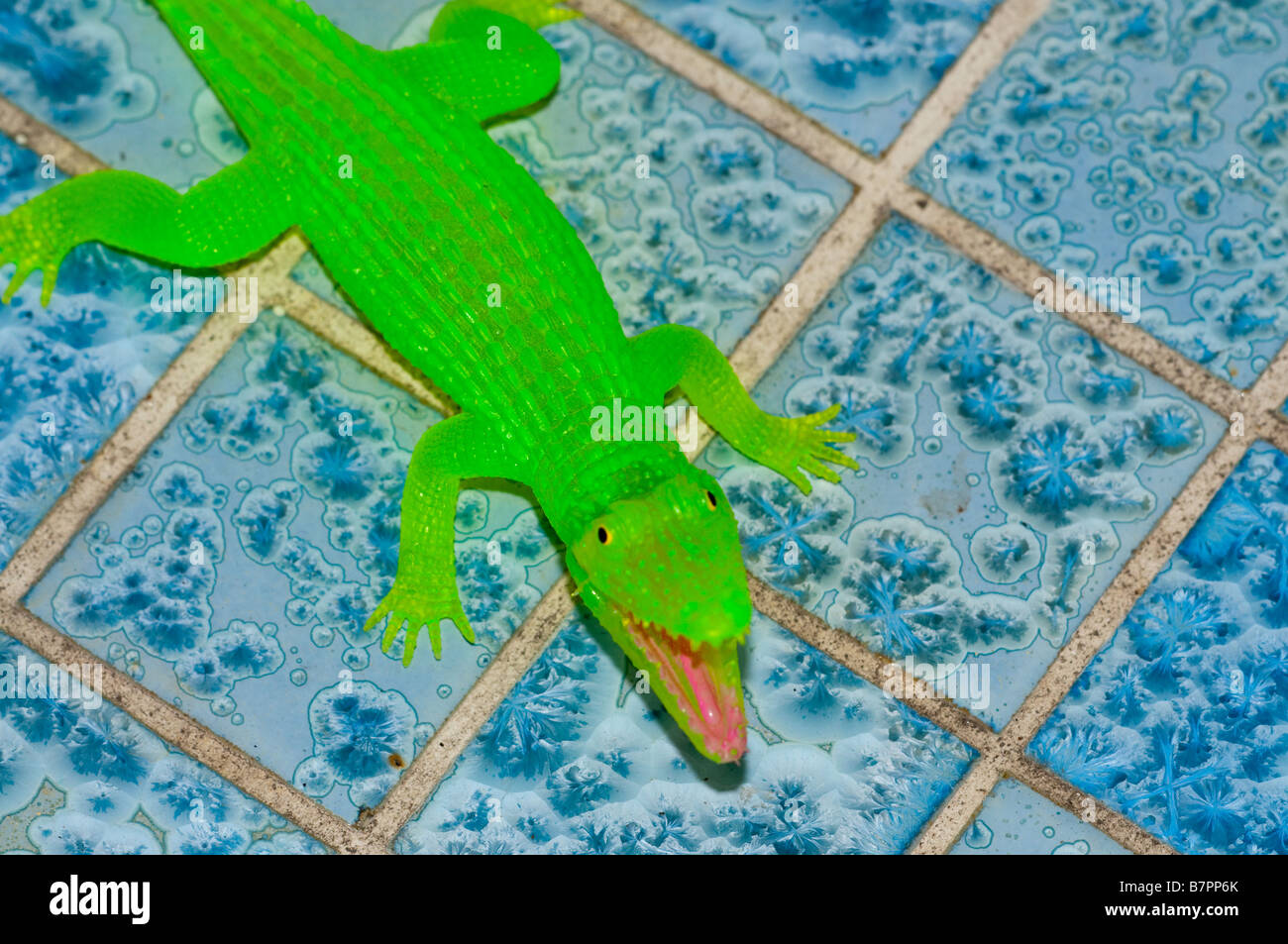 Bright green alligator on blue tile Stock Photo - Alamy