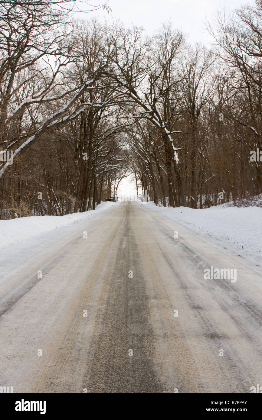 Canopy road hi-res stock photography and images - Alamy