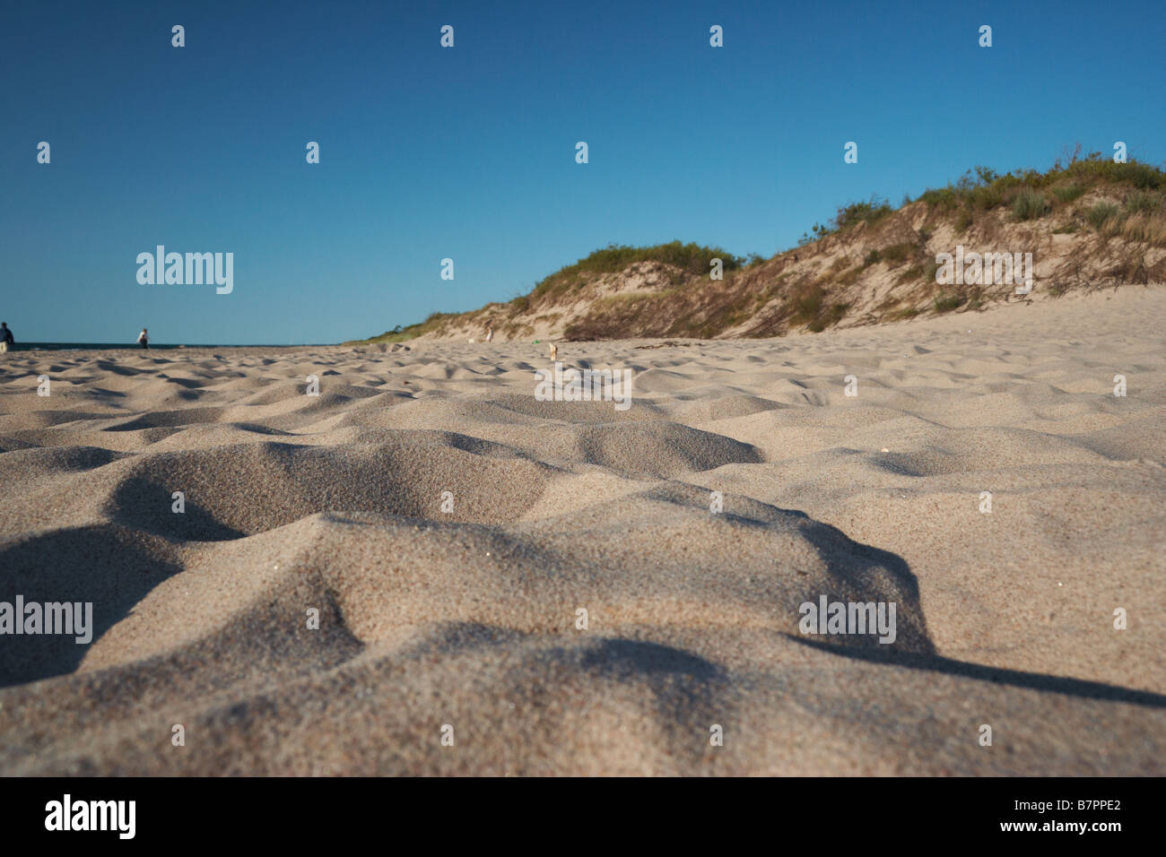 Duneland beach hi-res stock photography and images - Alamy
