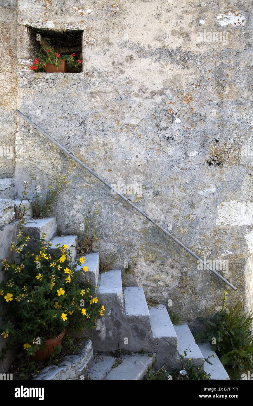 Flowers by stone steps in Castelluccio, Italy Stock Photo - Alamy