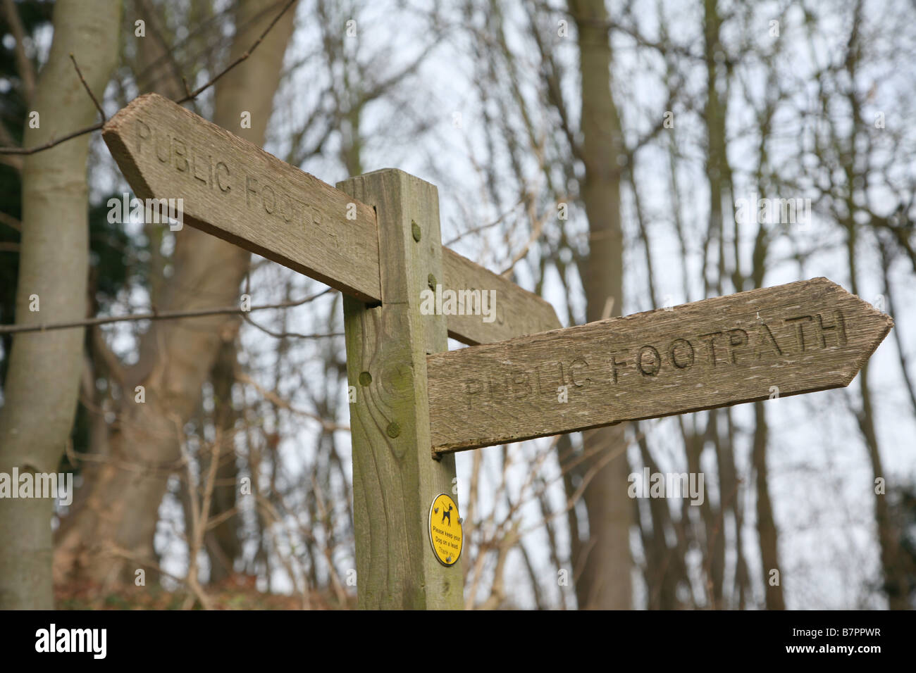 Wooden footpath signs pointing three directions Stock Photo - Alamy