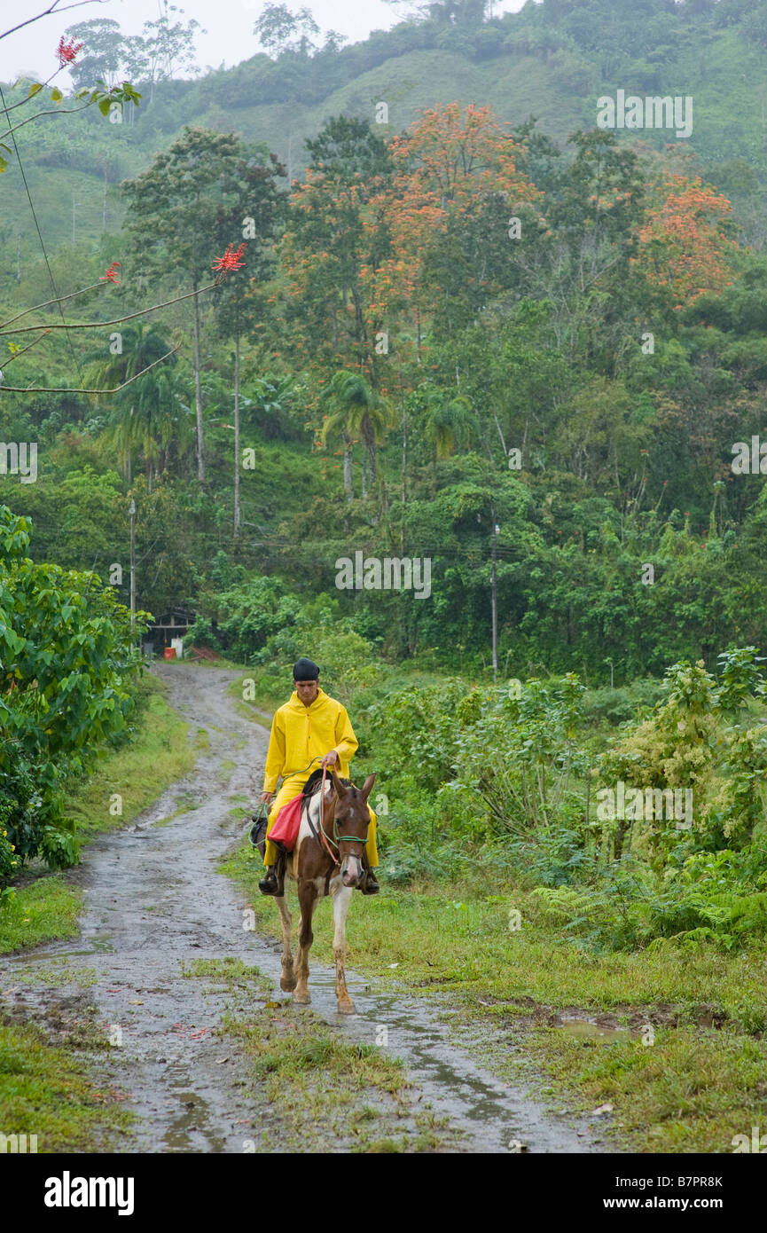 Central America, Costa Rica. A man rides his horse out of the mountains ...