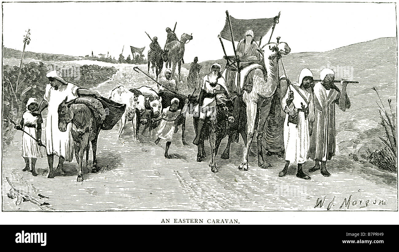 Camels carrying goods hi-res stock photography and images - Alamy