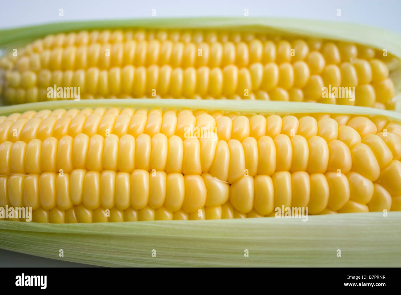 Corn with Husk Stock Photo - Alamy