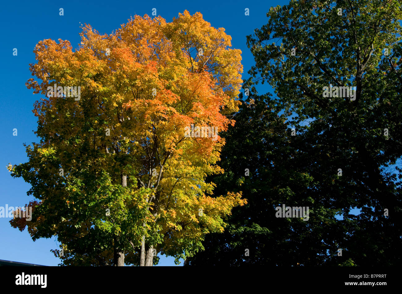 Trails bar harbor hi-res stock photography and images - Alamy