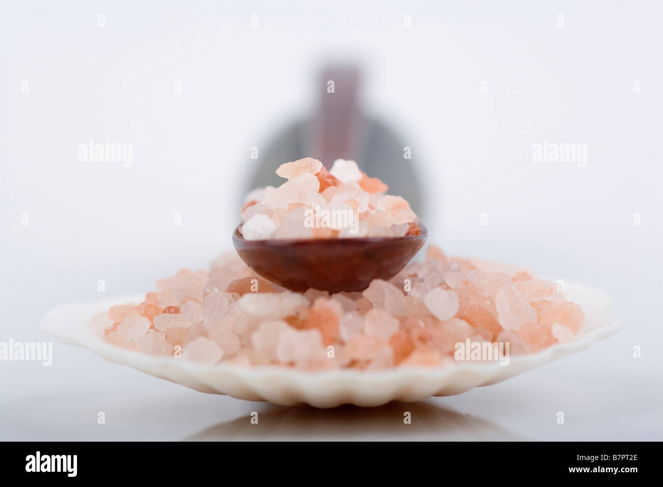 Salt in shell Stock Photo - Alamy
