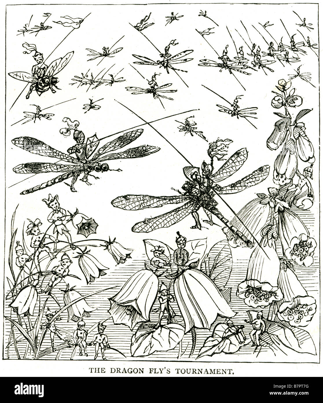 Joust Illustration High Resolution Stock Photography and Images - Alamy