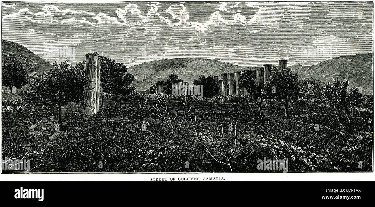 Street Columns Samaria Kingdom of Israel ruins deserted overgrown ...