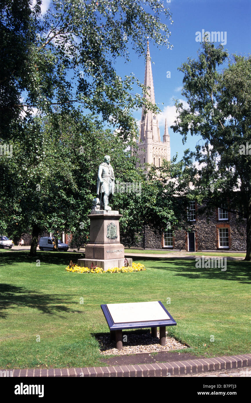 Wellington statue norwich hi-res stock photography and images - Alamy