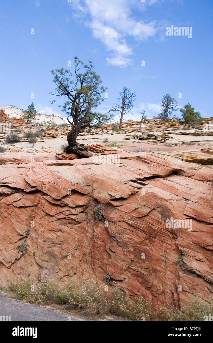 Rock cycle igneous rocks hi-res stock photography and images - Alamy