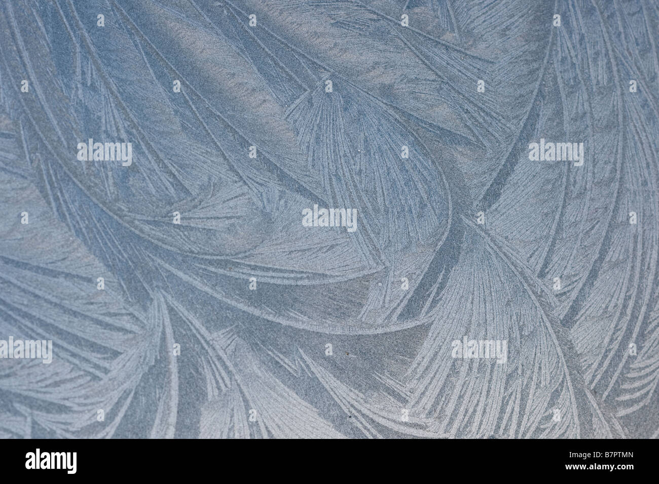 Frosts cars hi-res stock photography and images - Alamy