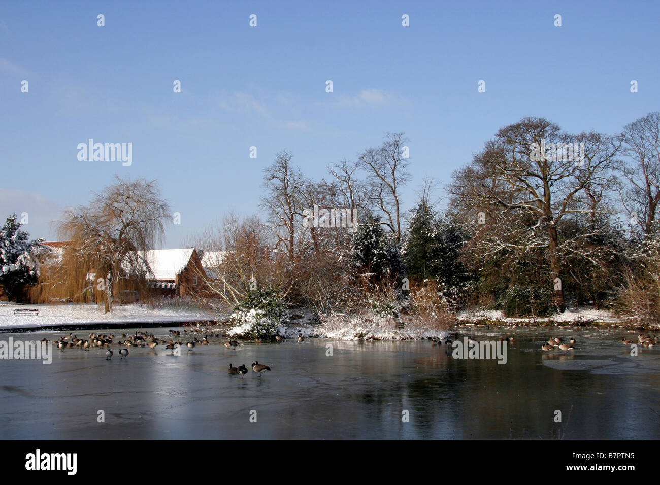 Forty Hall Estate High Resolution Stock Photography and Images - Alamy