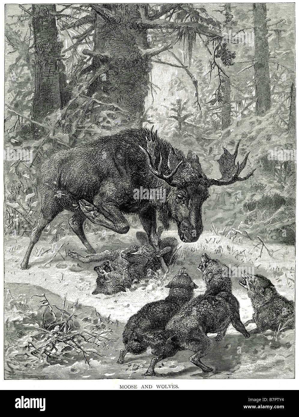 Family configuration hi-res stock photography and images - Alamy