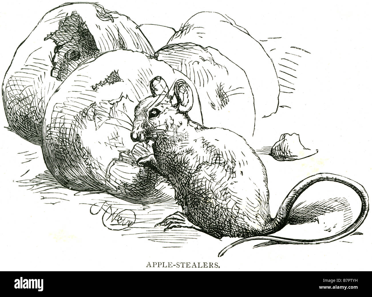 Victorian farm life hi-res stock photography and images - Alamy