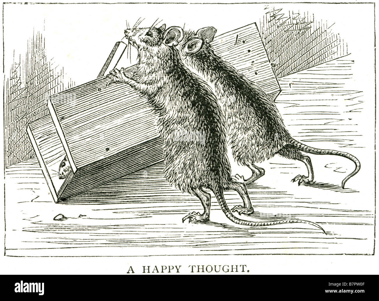 happy thought success feasting triumph rat mouse eating trap inside ...