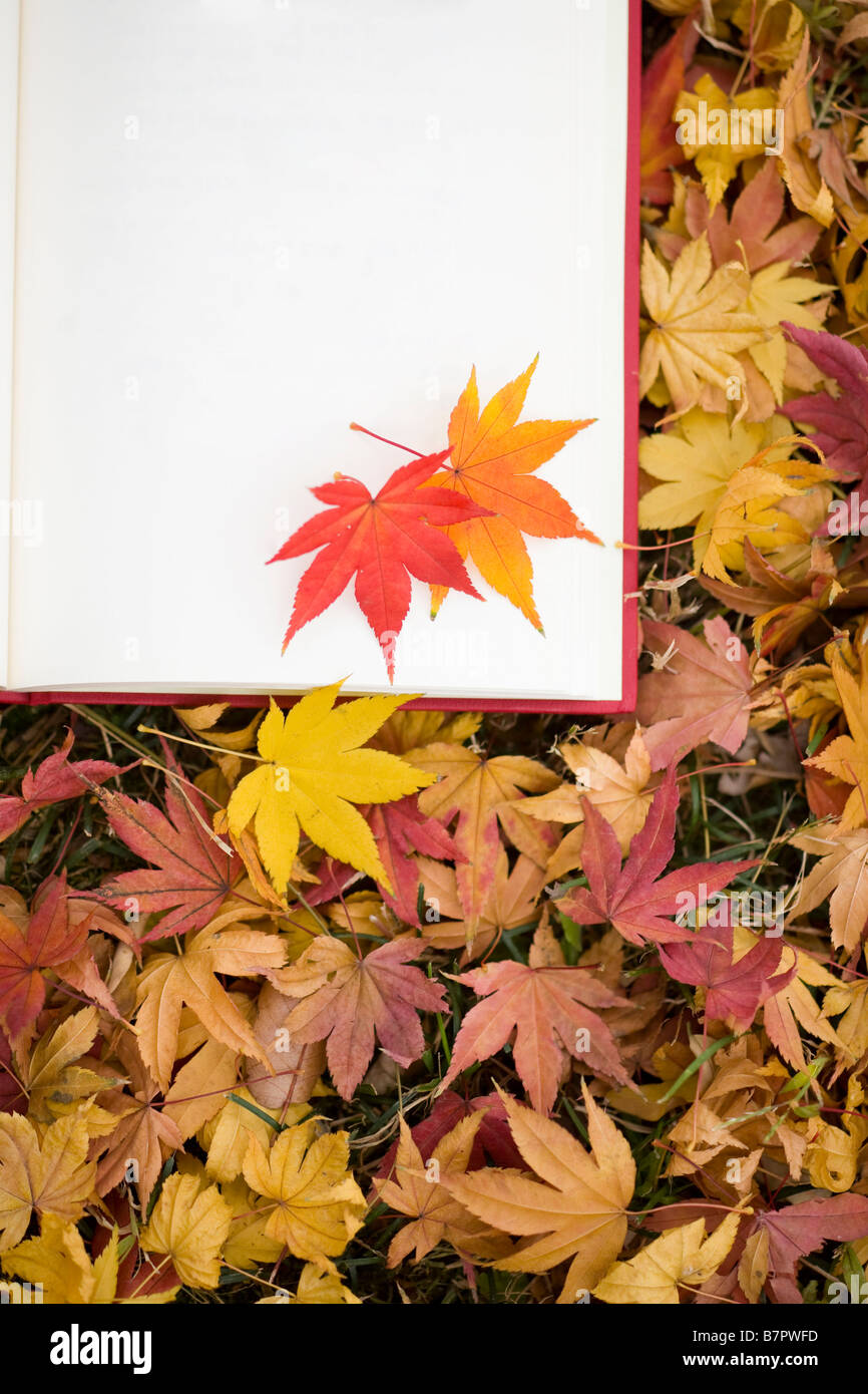 Book and Autumn Maple Leaves Stock Photo - Alamy