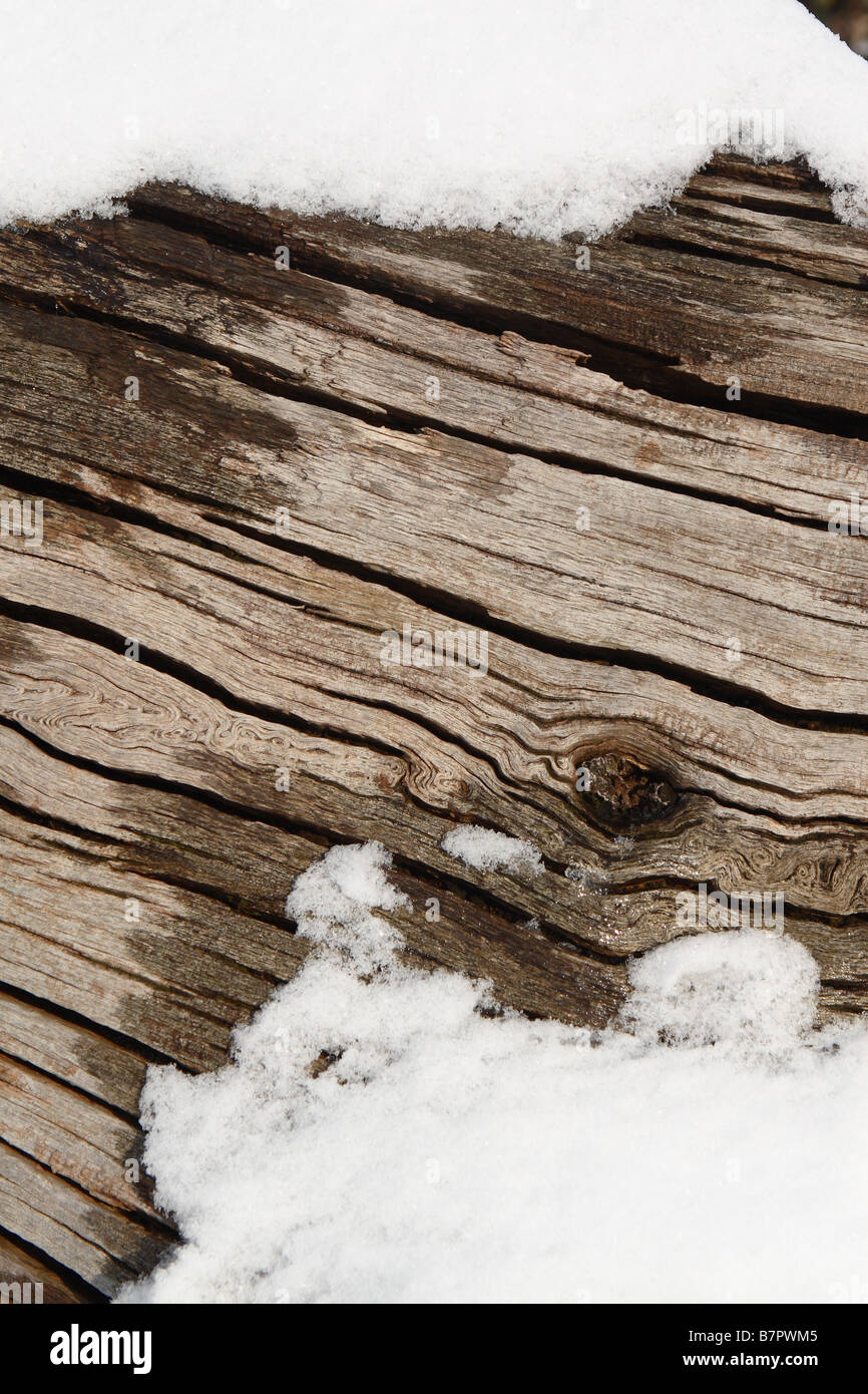Ice covered log hi-res stock photography and images - Alamy