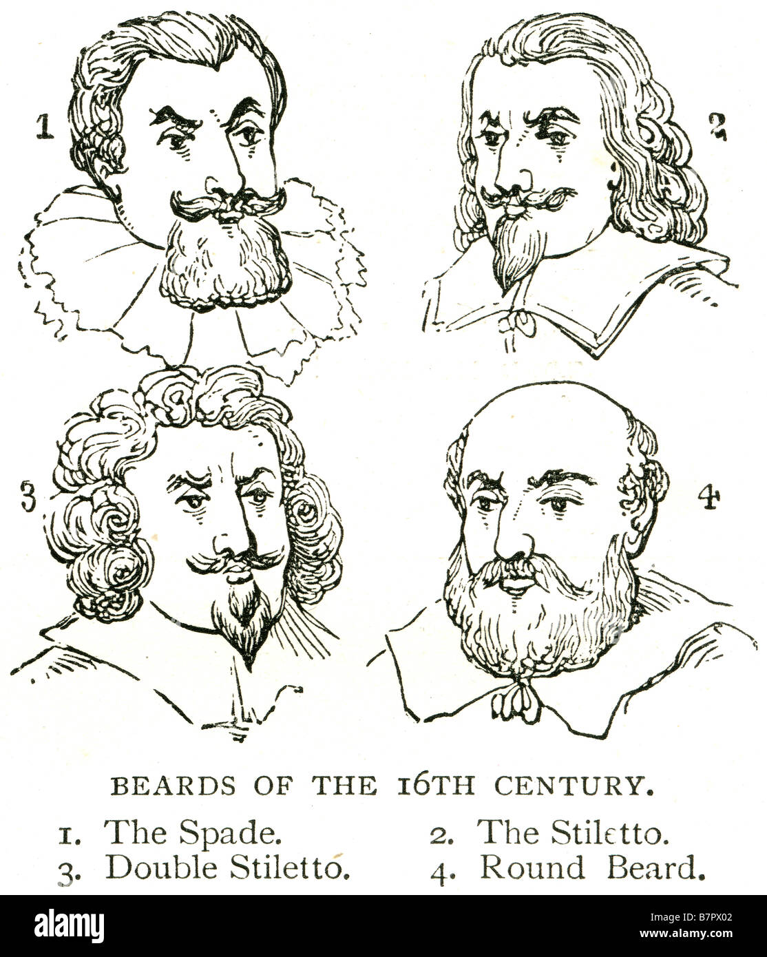 Spanish Spade Beard