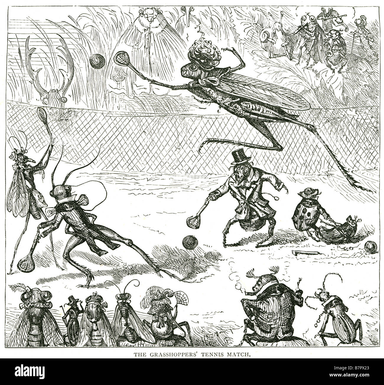 Cartoon insects hi-res stock photography and images - Alamy