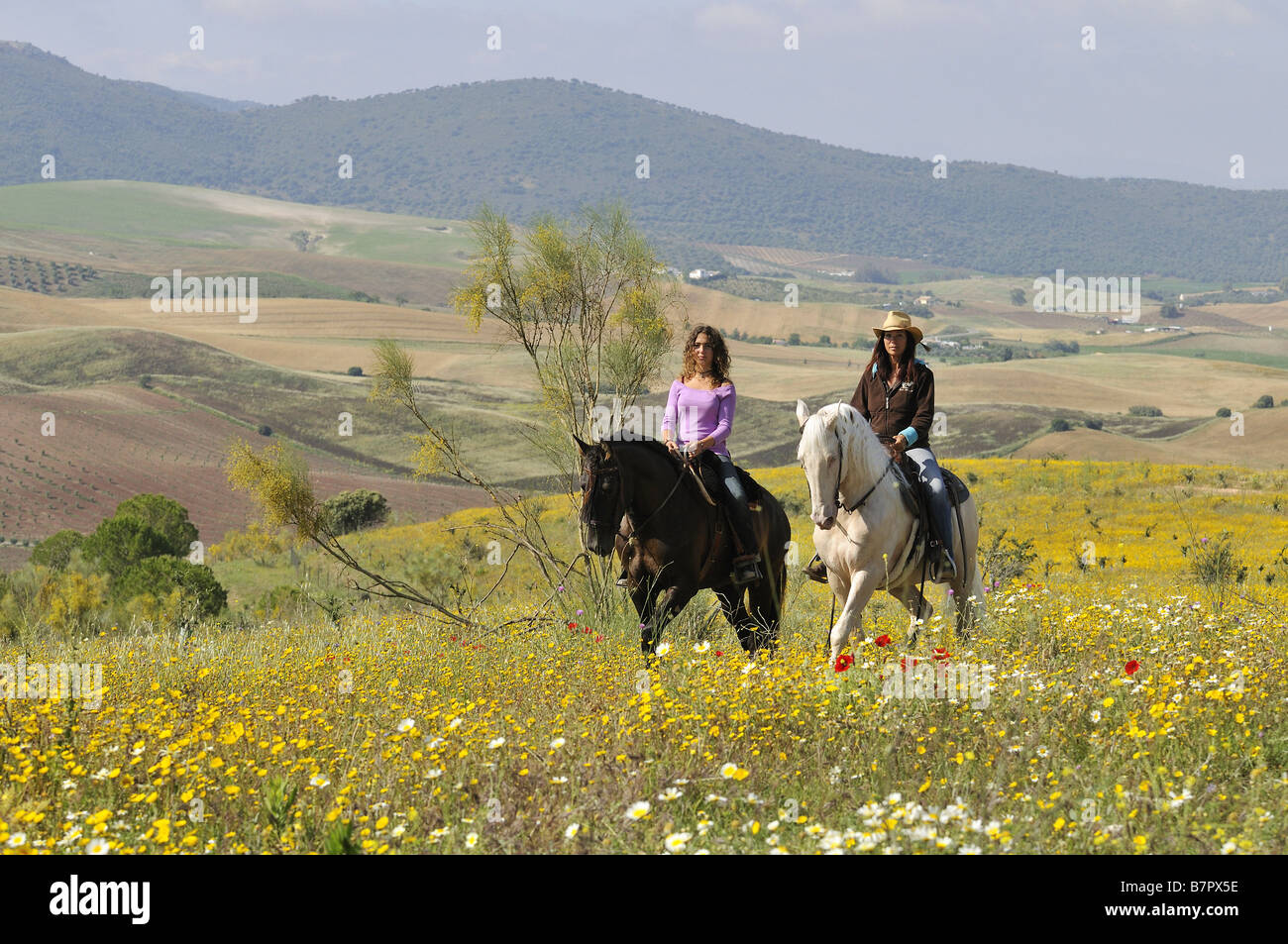 Two female horse riders hi-res stock photography and images - Alamy
