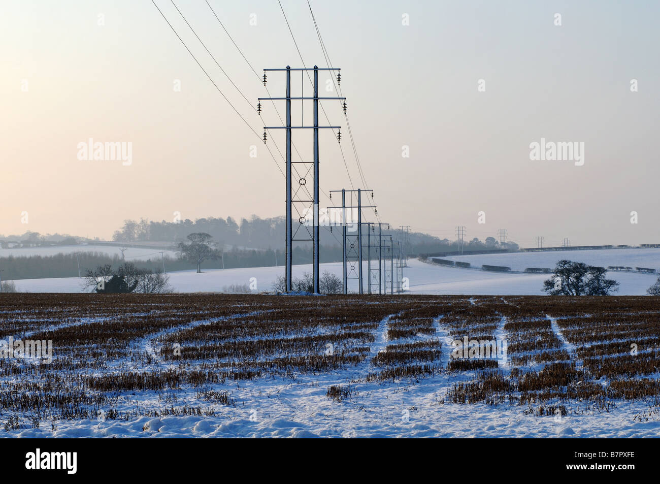Power poles over agricultural hi-res stock photography and images - Alamy