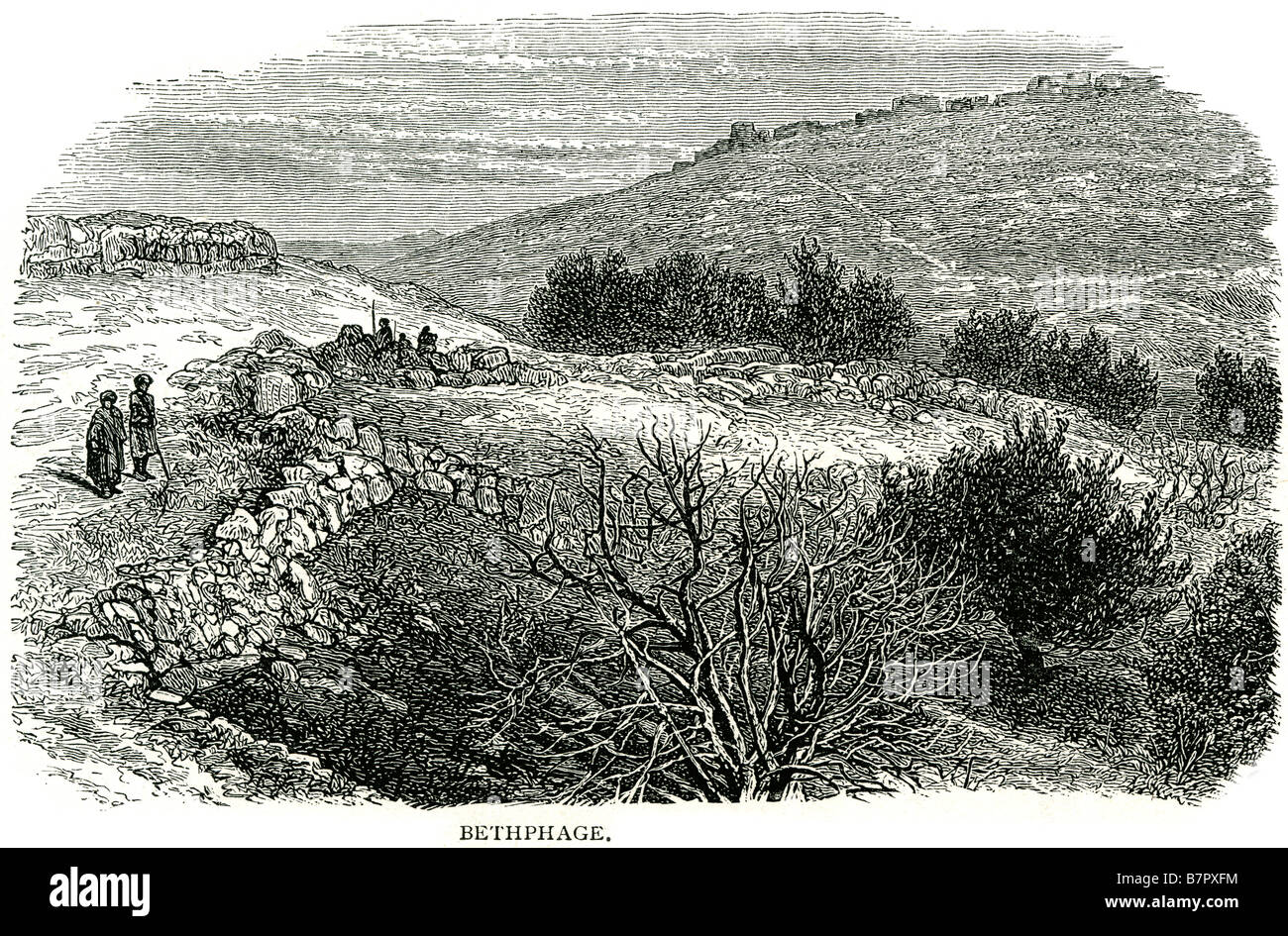 Bethphage was a place in ancient israel hi-res stock photography and ...