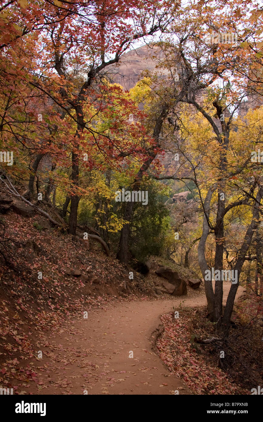 path in nature Stock Photo - Alamy