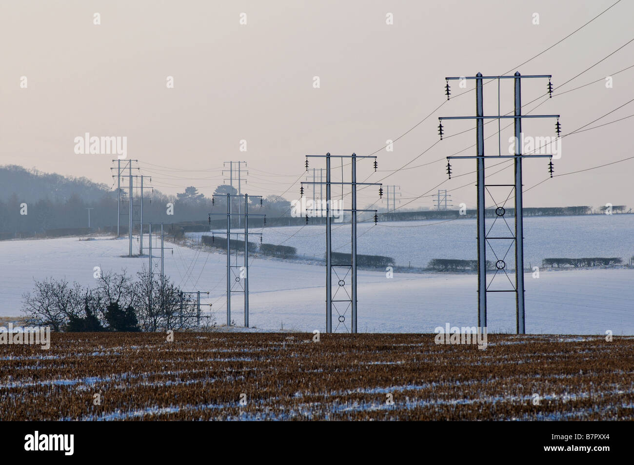 Power lines crossing farmland in winter, UK Stock Photo - Alamy