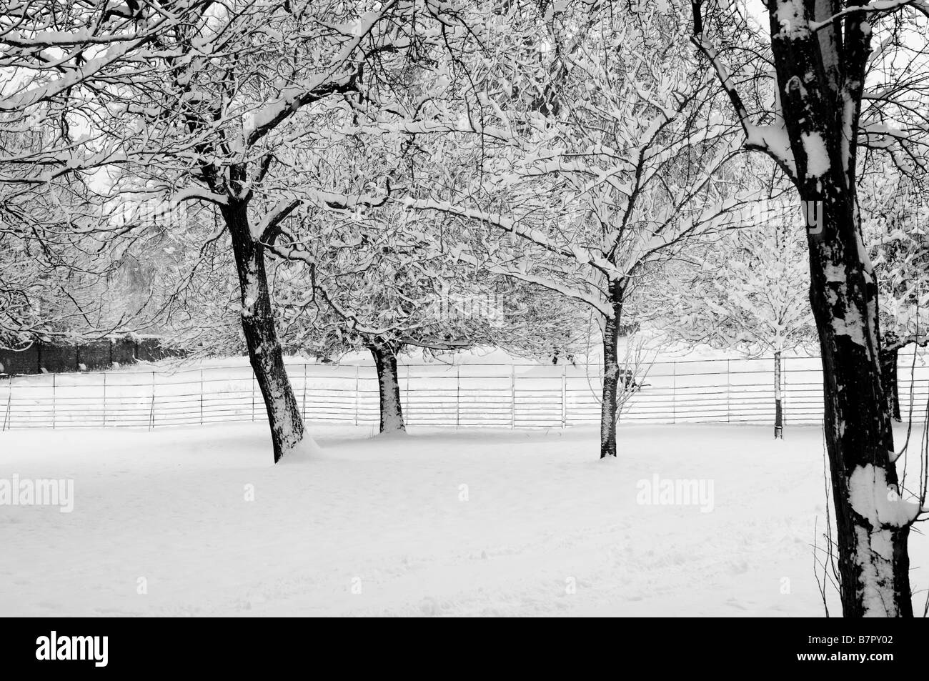 Winter in surrey uk Black and White Stock Photos & Images - Alamy