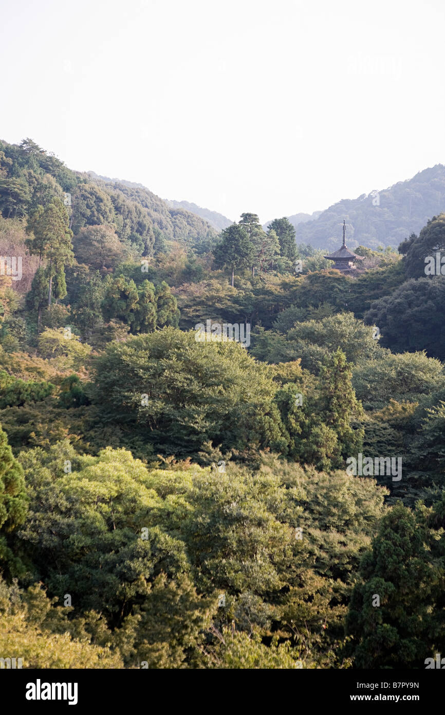 Temple amongst trees Stock Photo - Alamy