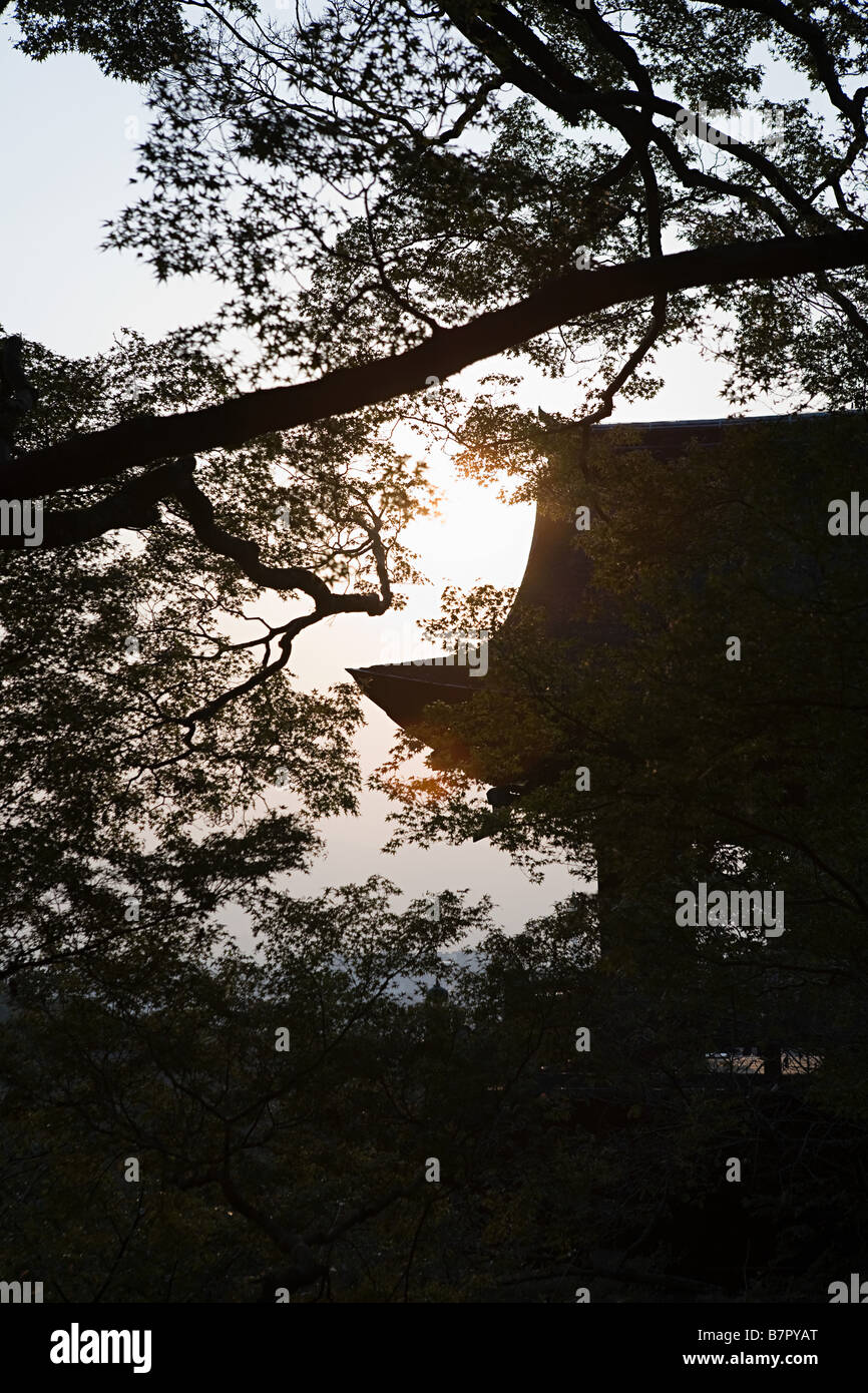 Temple and trees and sunset Stock Photo - Alamy