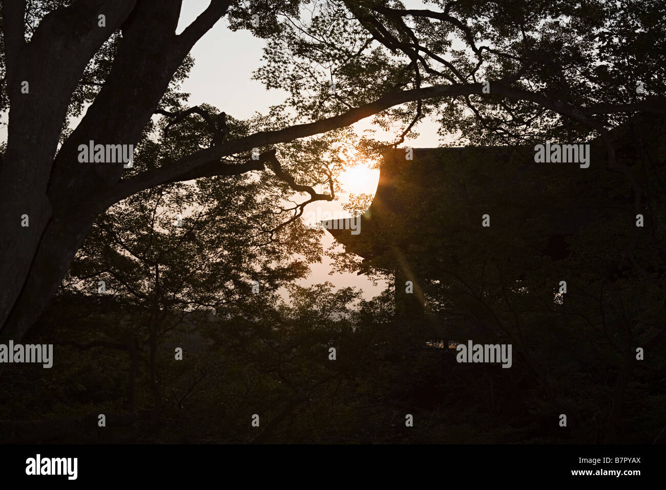 Temple and trees at sunset Stock Photo - Alamy