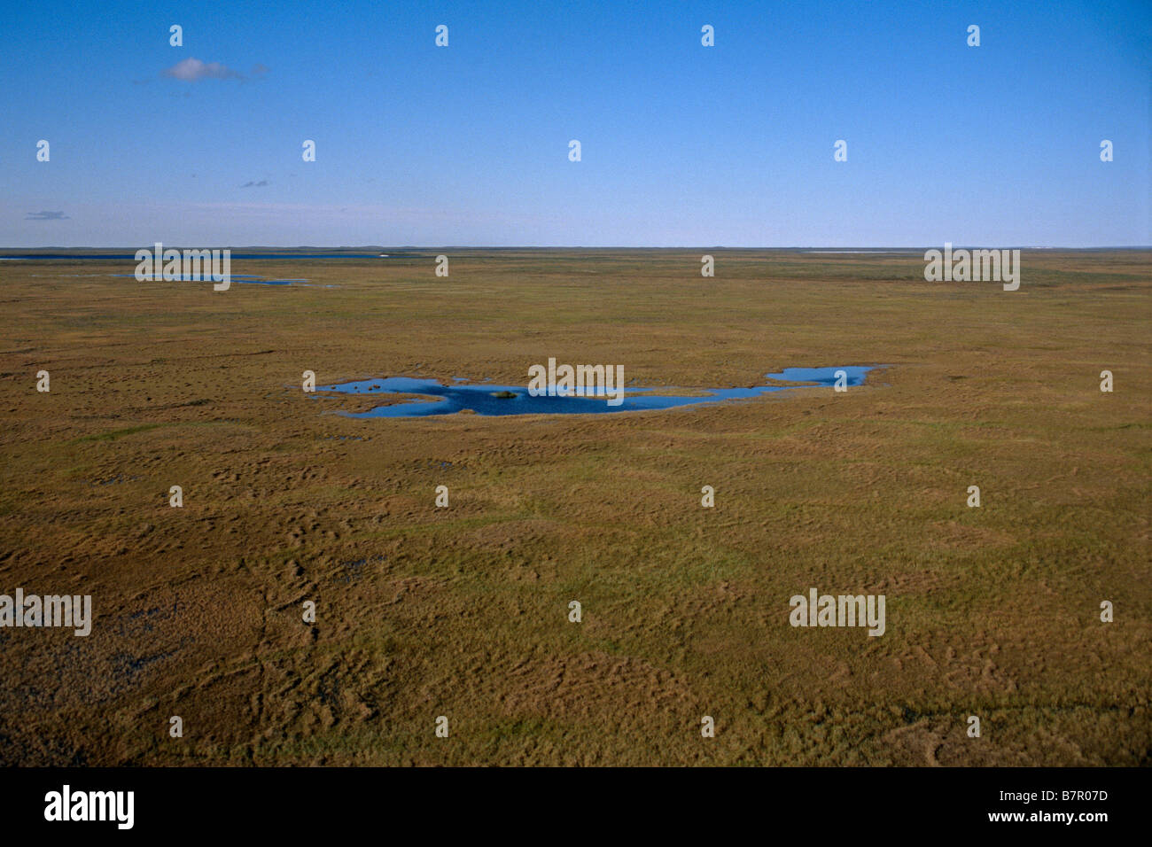 National petroleum reserve in alaska hi-res stock photography and ...