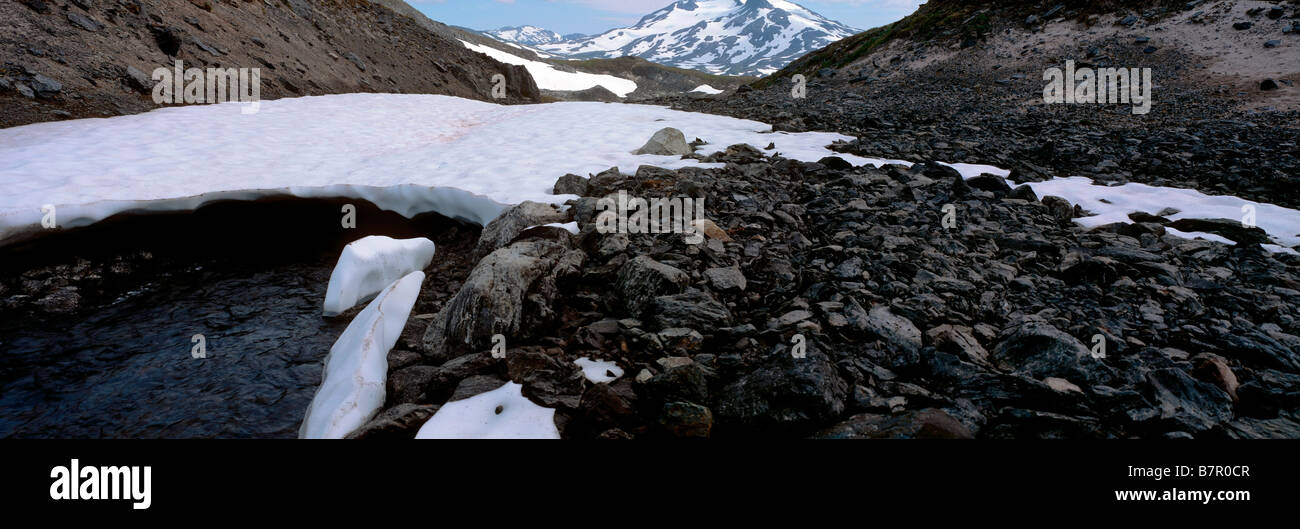 Panoramic view of Bear den environment near Terror Lake Kodiak Island ...