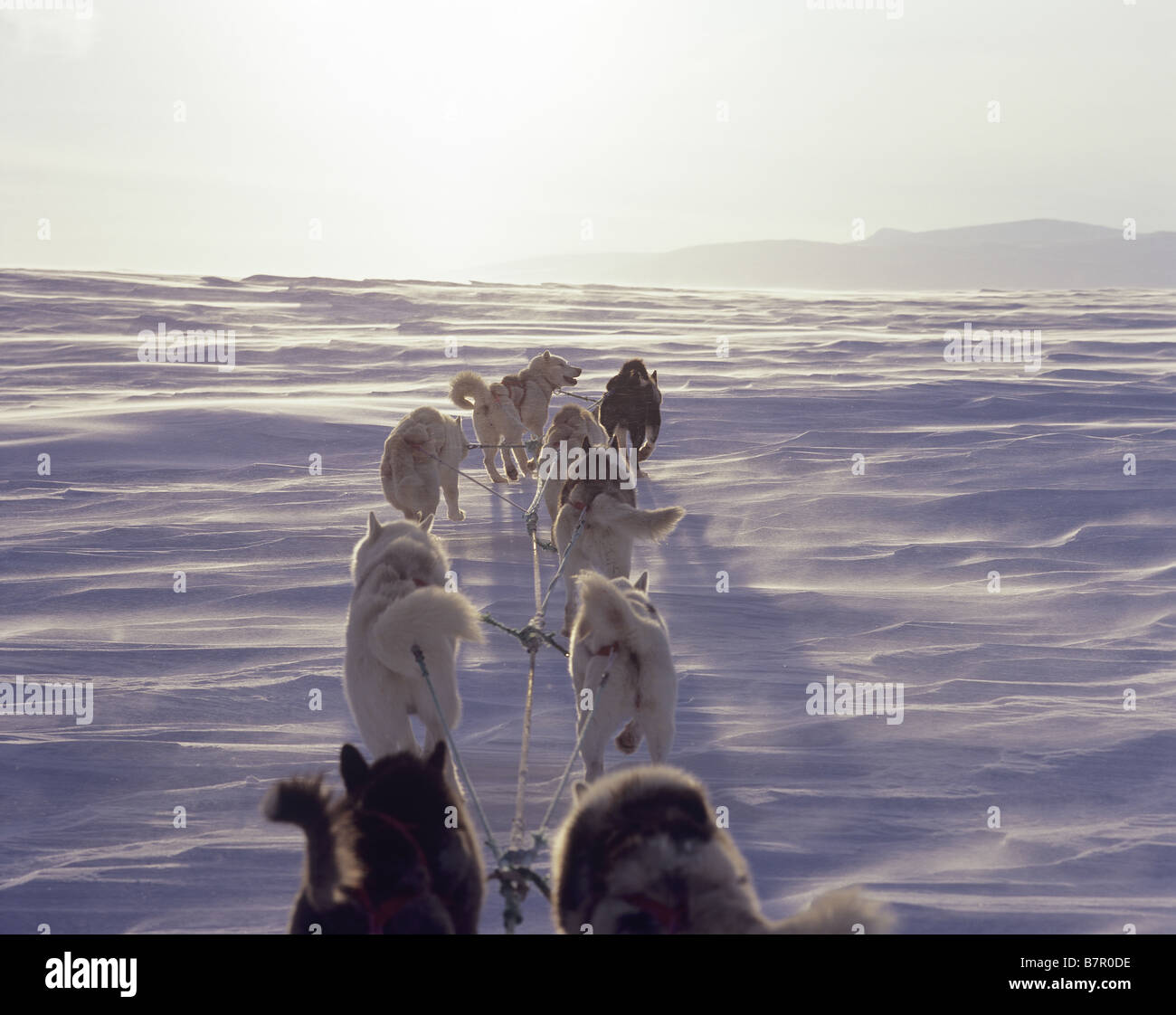 Sledge draw hi-res stock photography and images - Alamy